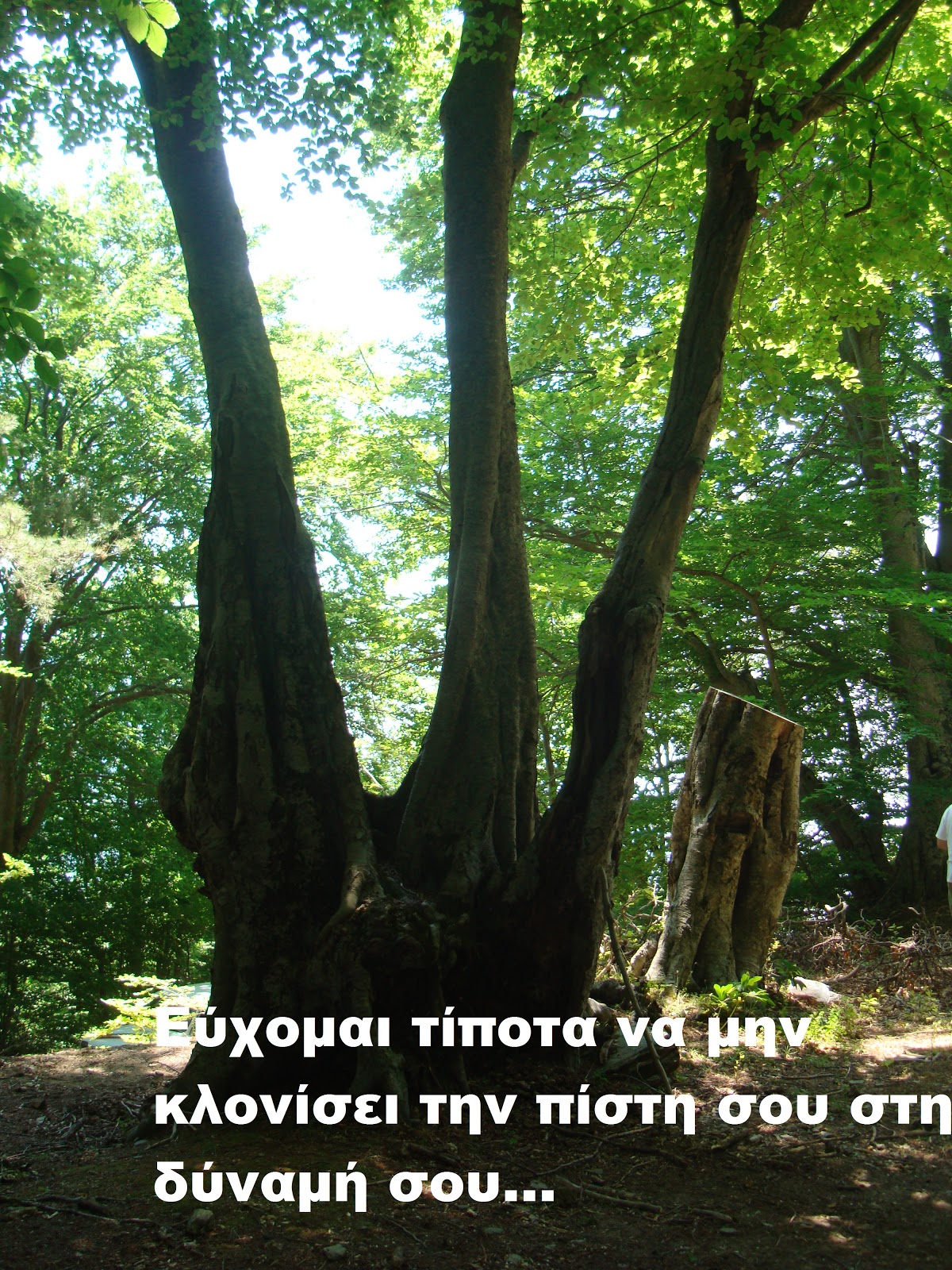TΟ ΗΘΟΣ ΠΟΥ ΧΑΣΑΜΕ...: Καλημέρα και σήμερα...