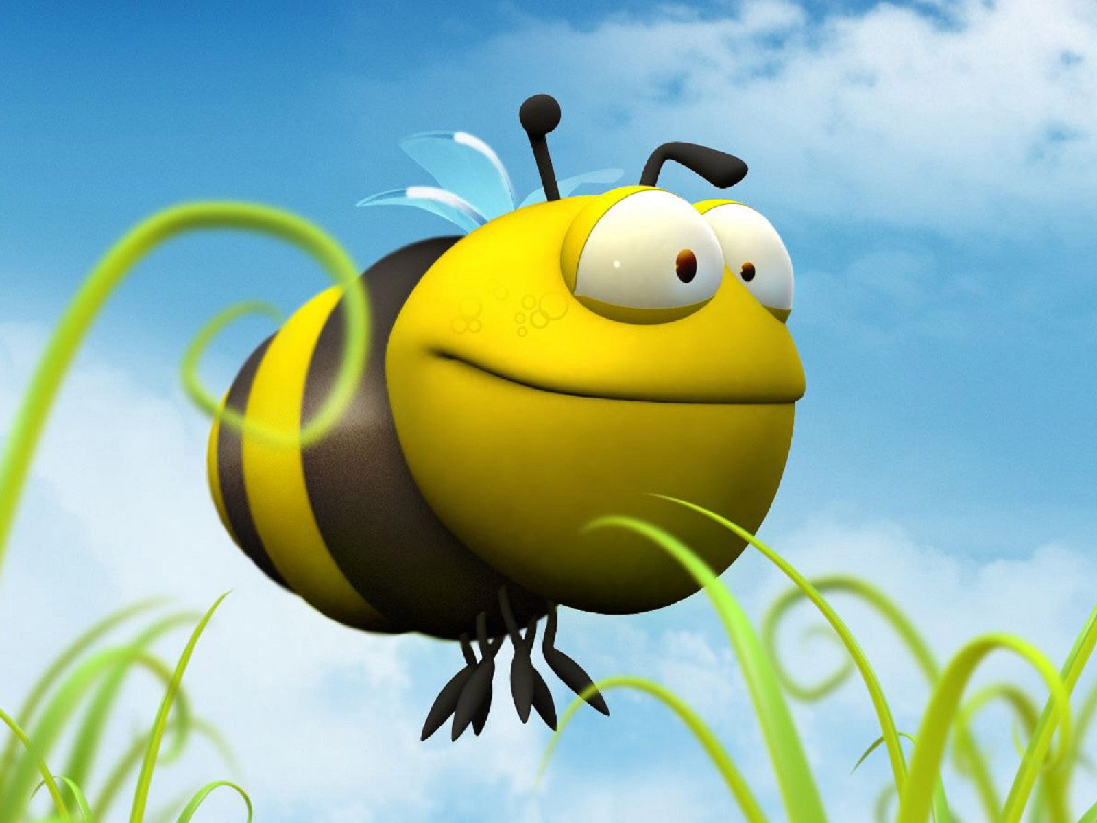 All new wallpaper : Funny Pictures of Animals ,funny wallpaper