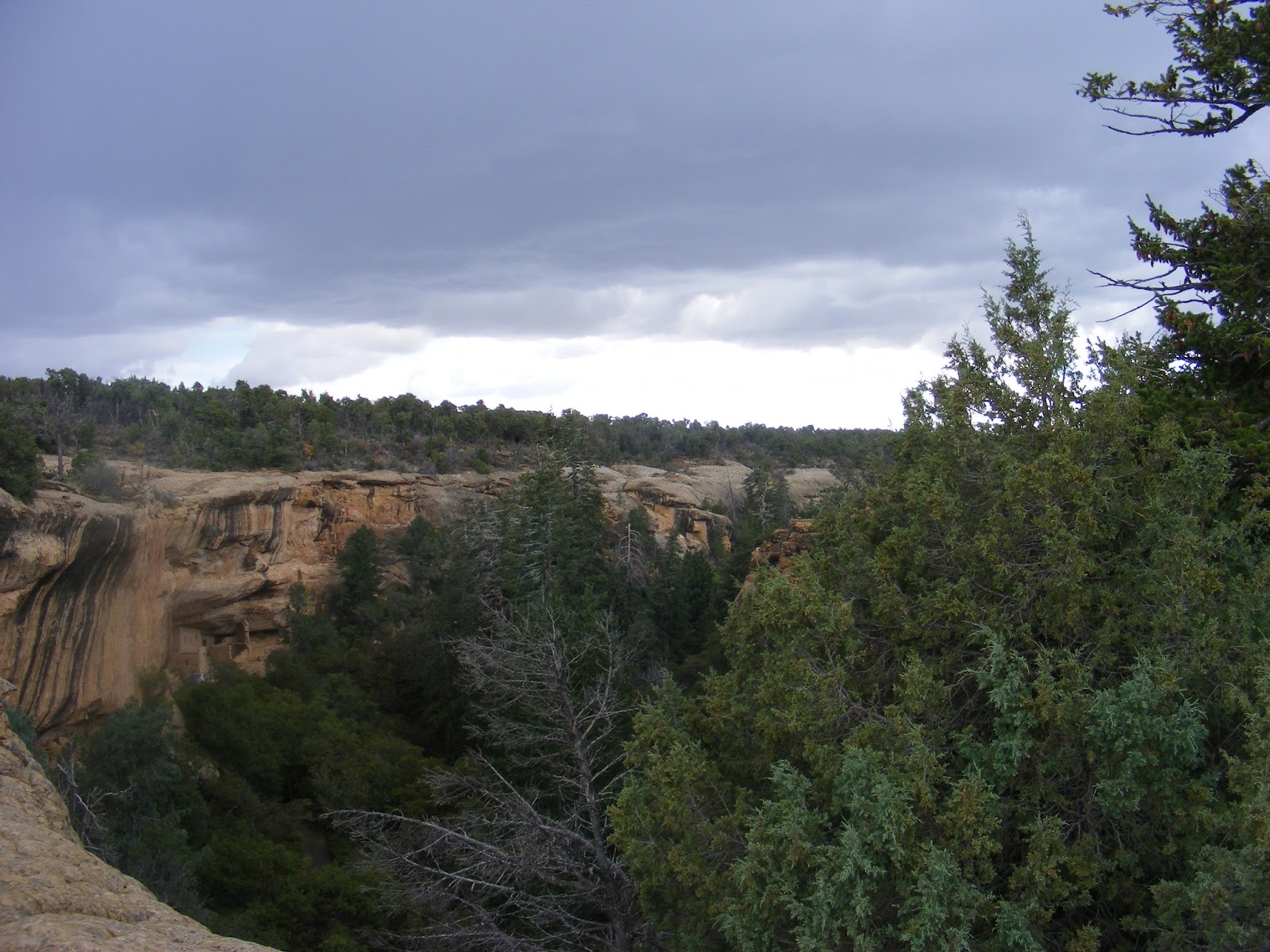 A New Day: October 2015