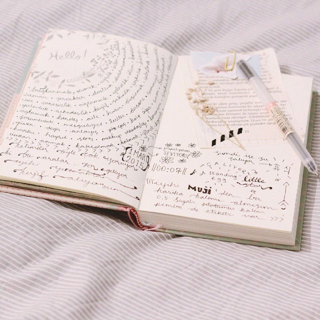 The Journal Diaries- Tuğçe's Diary / Seaweed Kisses