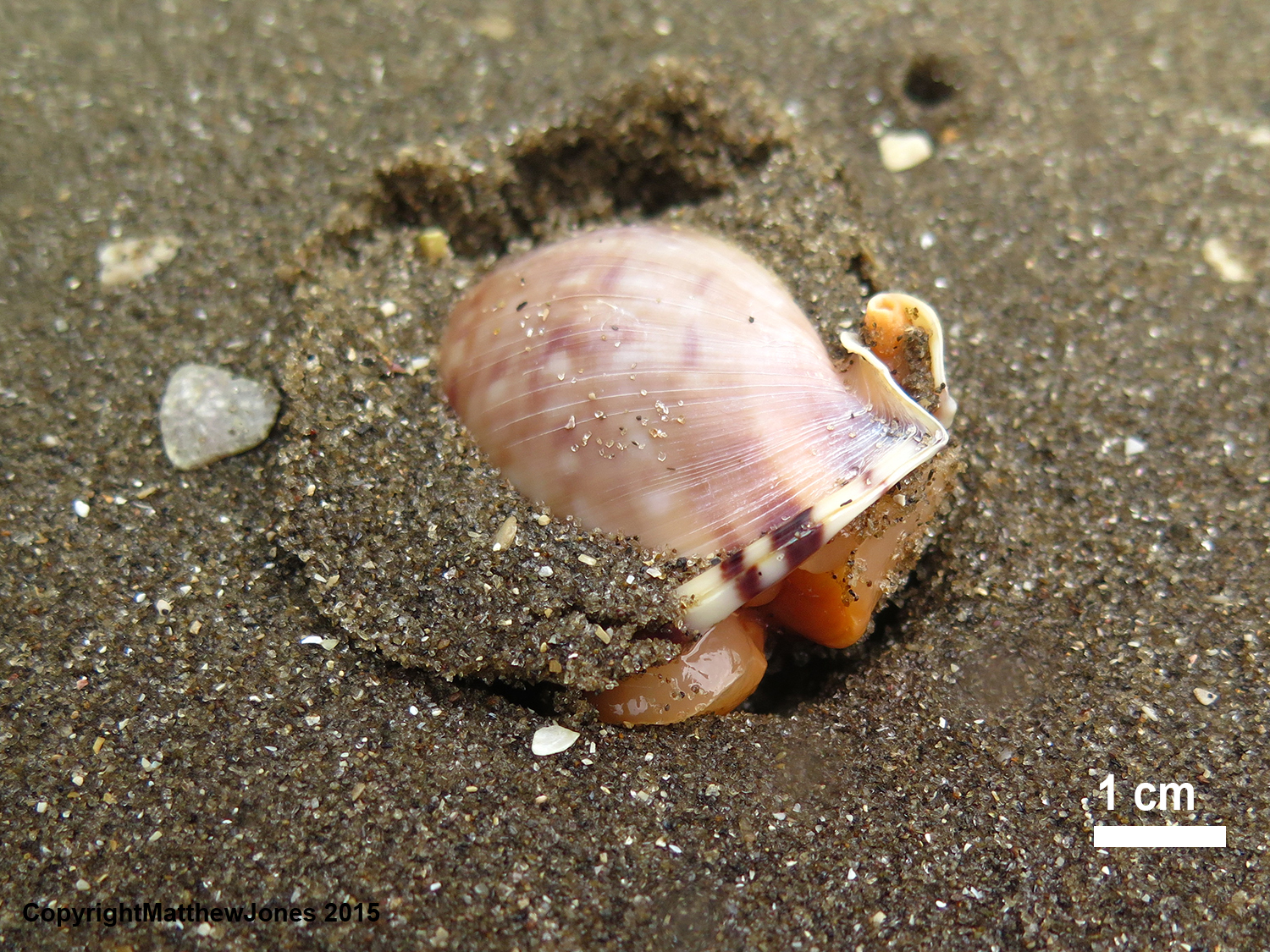 We've been expecting you Dr. Jones...