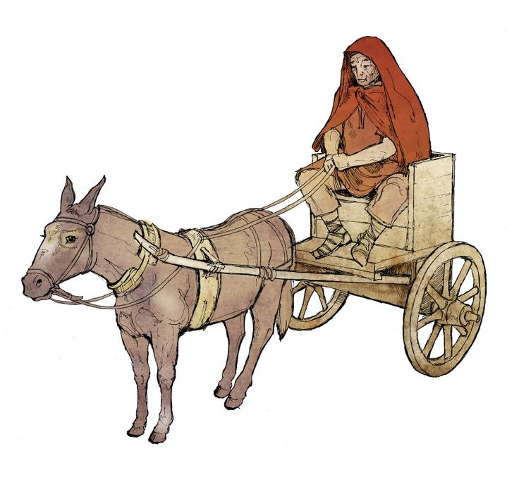 LAUREOLUS BLOG.: Vehicula o el transport terrestre: carrus, carrucas i ...