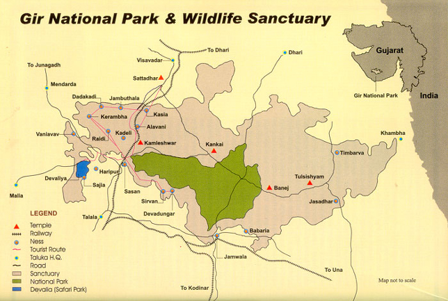 Gir National Park | Sasan Gir: Gir National Park | Sasan Gir