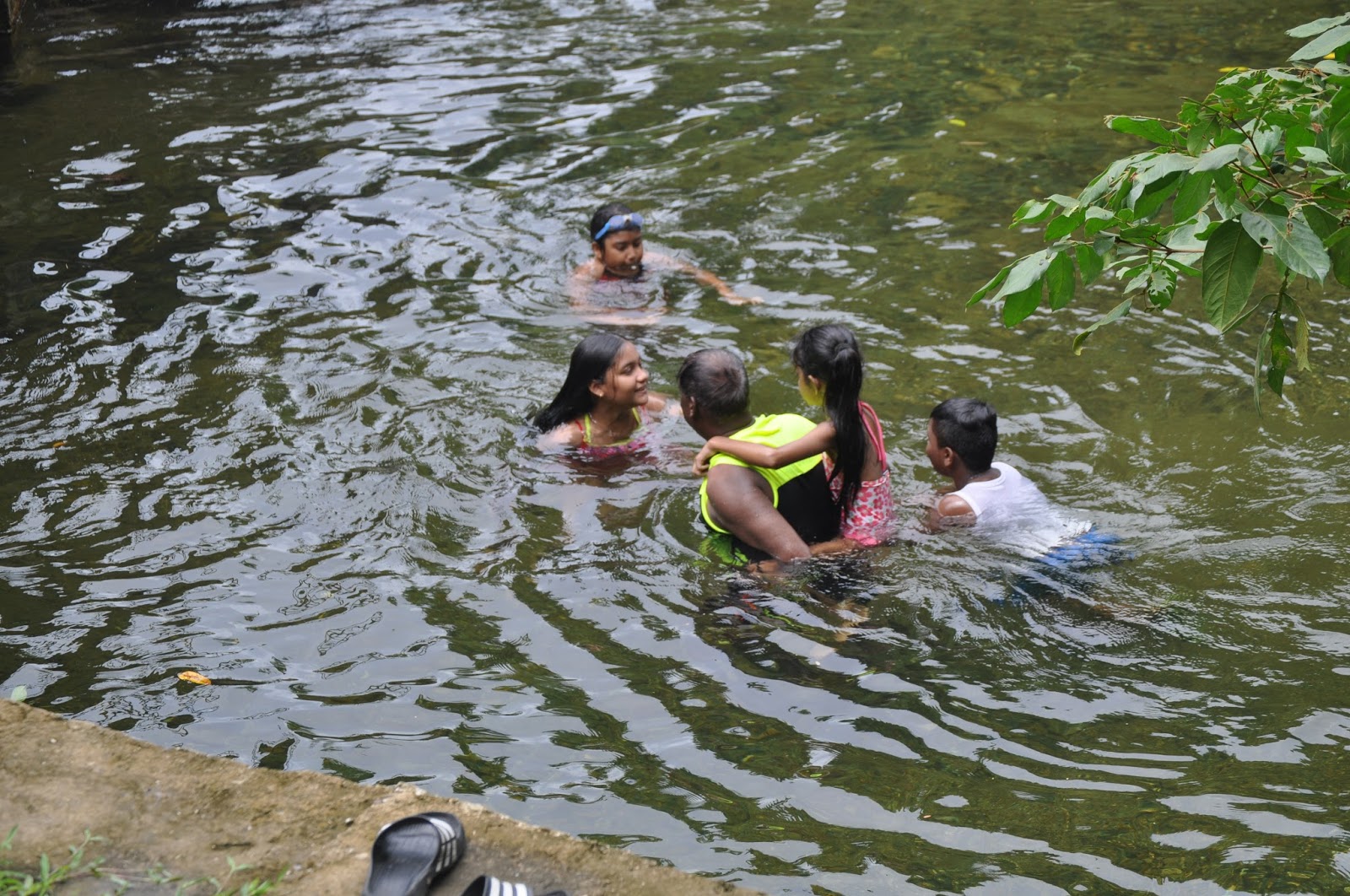 What is a Trini River Lime