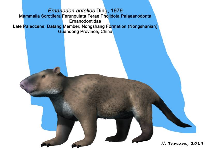 Spinops: Prolibytherium magnieri