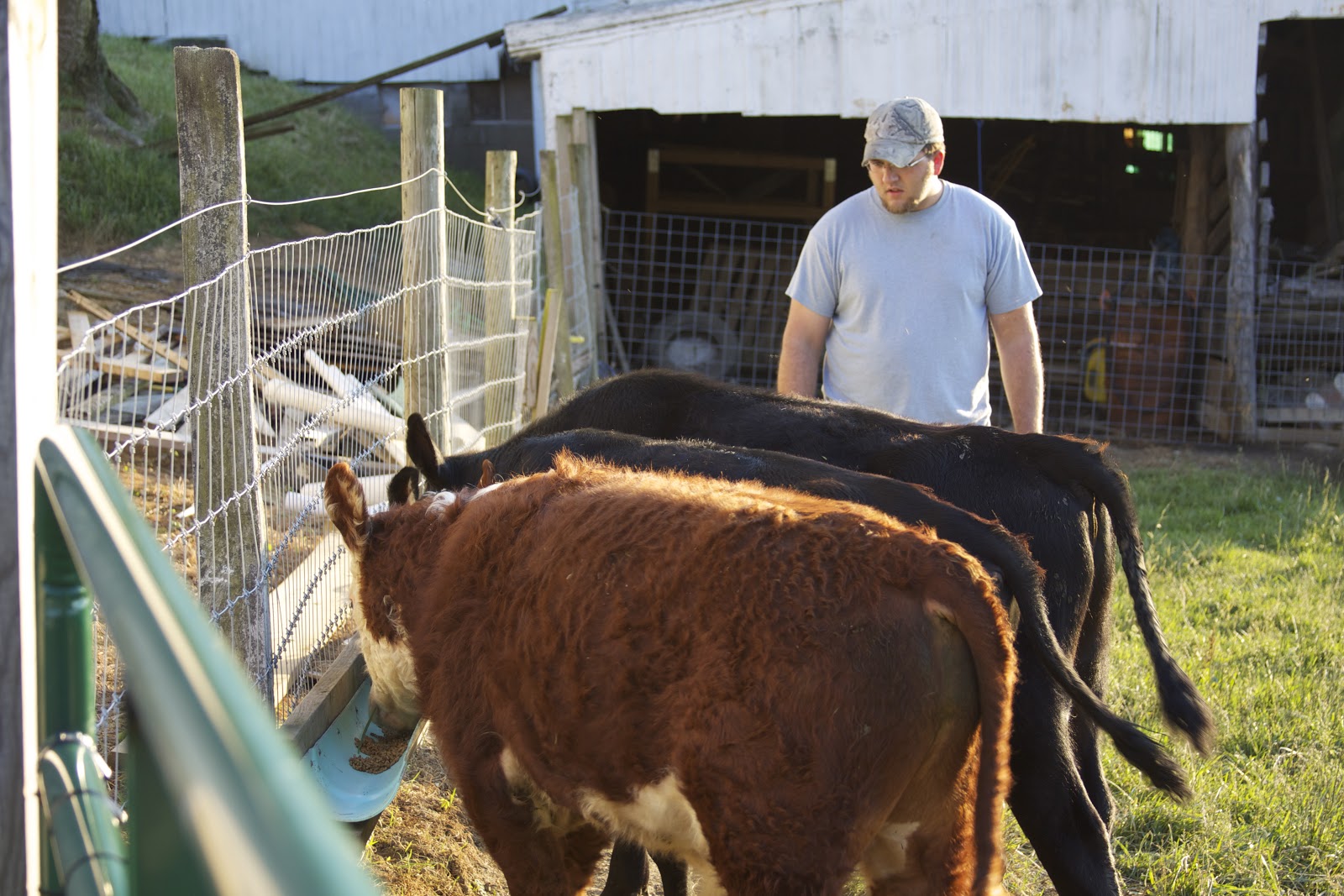 Down On The (Howard Family) Farm