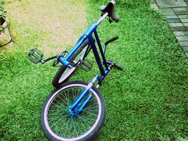 sepedah sehat: Sepeda Goyang