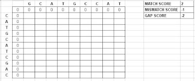 AnyThing Tutorials: Bioinformatics: Smith-Waterman Algorithm with Example