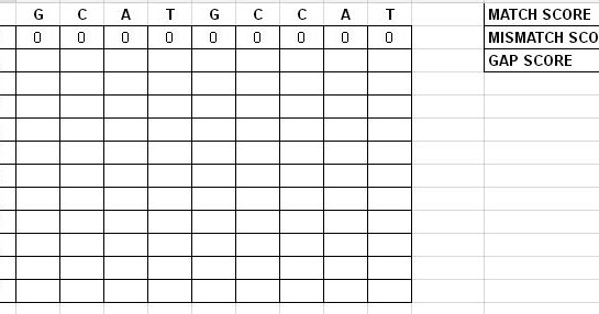 Anything Tutorials Bioinformatics Smith Waterman Algorithm With Example