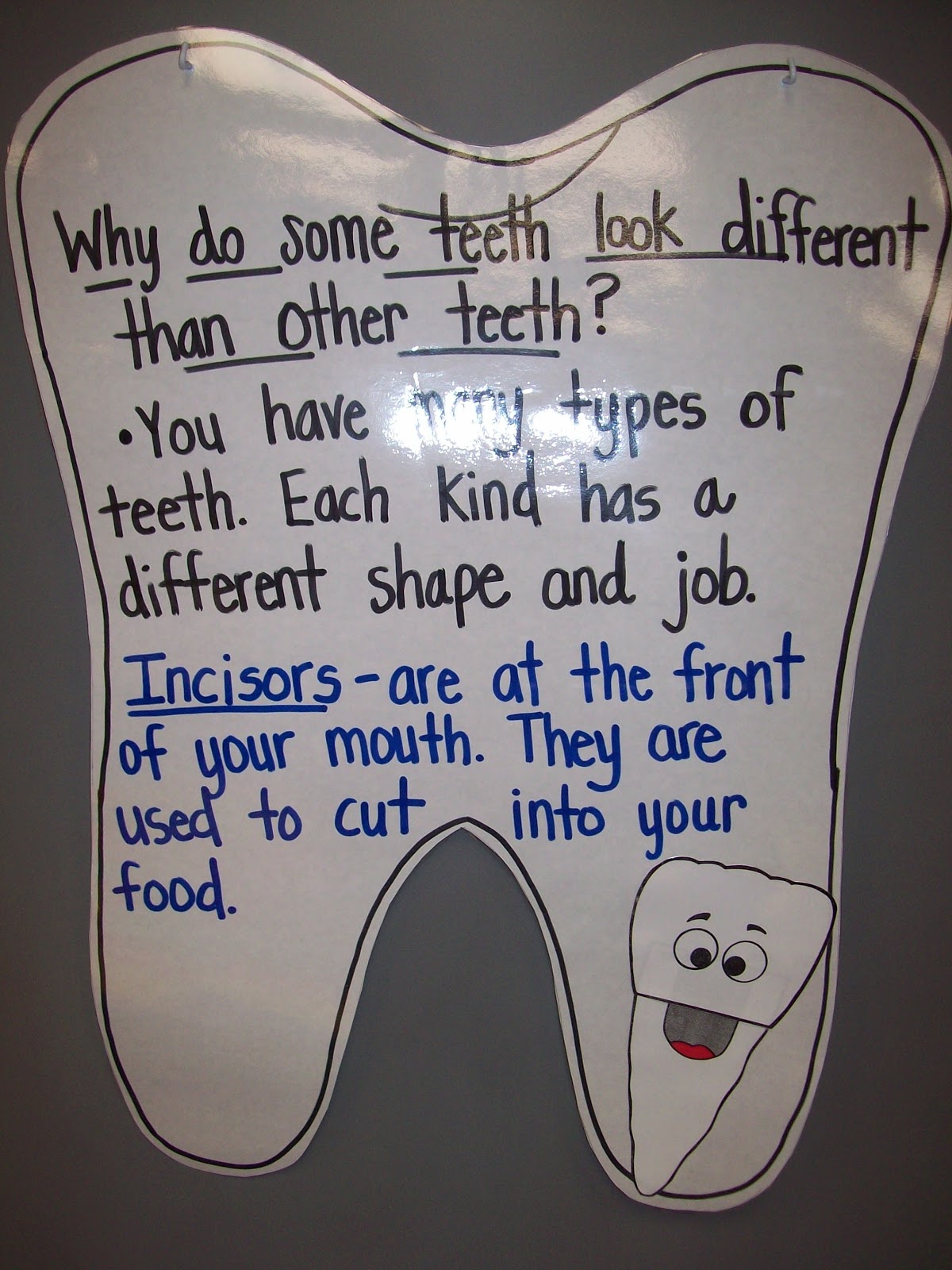 Teaching With Terhune: Dental Health