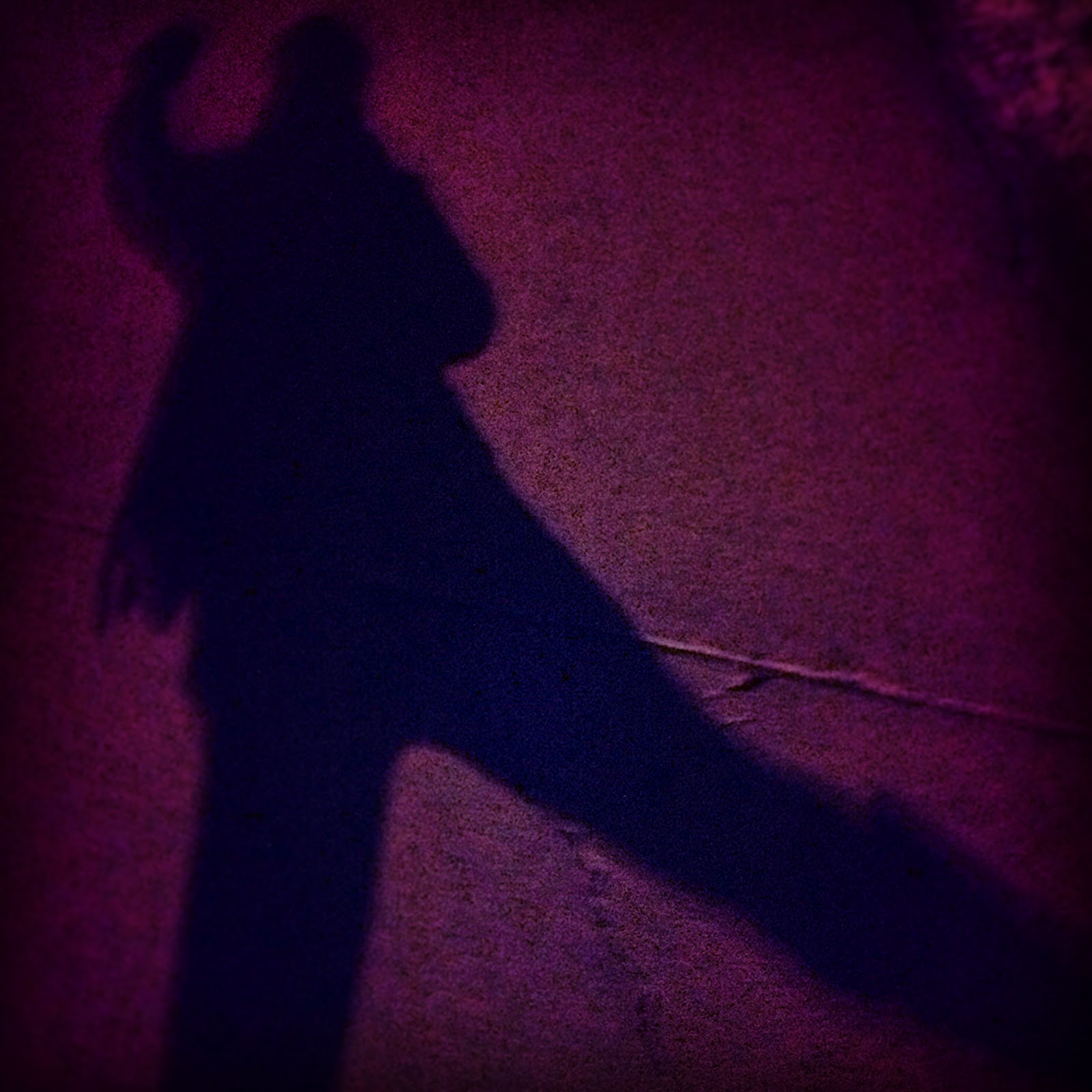 Salutes and Smiles: December: A Picture A Day.