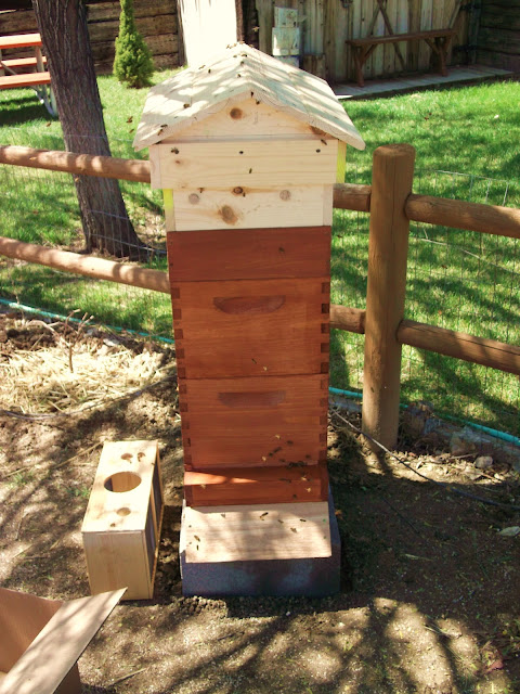 My Simple Country Living: The Country Garden Showcase- Week 16