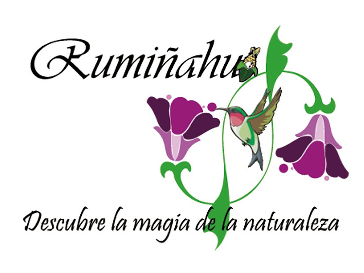 VIVE RUMIÑAHUI: UBICACÓN DEL CANTÓN RUMIÑAHUI
