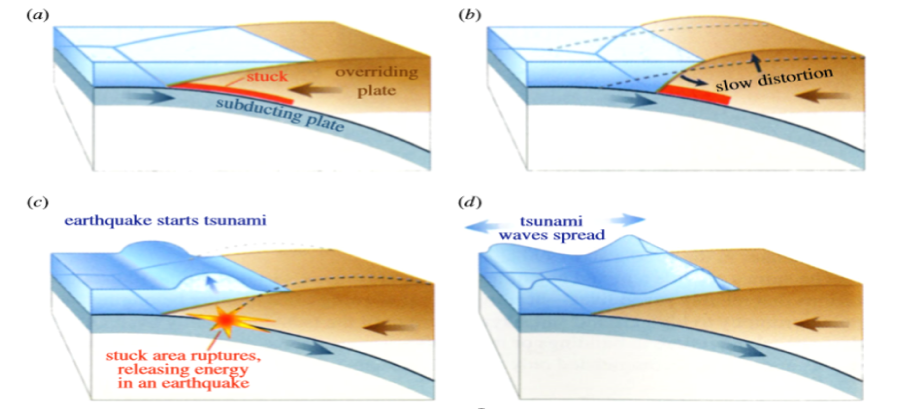 Tsunamis: The Causes, Effects and Disaster Preparation: 2017