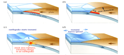 Tsunamis: The Causes, Effects and Disaster Preparation: Tsunami: Causes ...