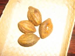 Granny Home Remedies: NEWBORNS