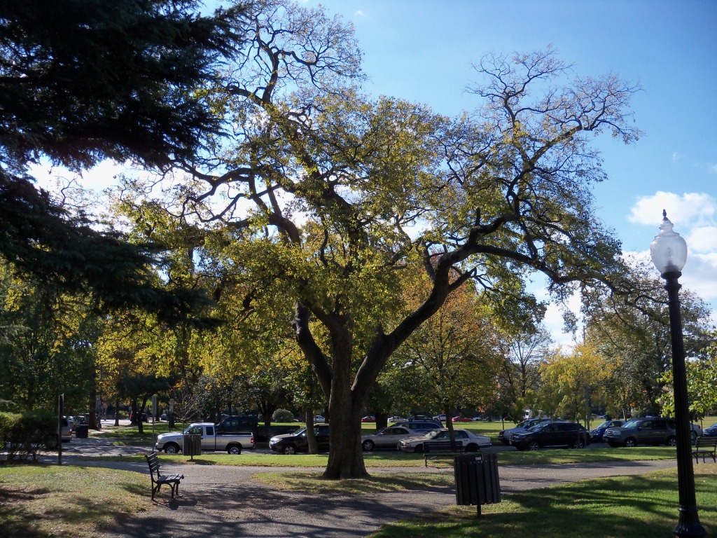 New Deal of the Day: The New Deal in DC: Folger Park
