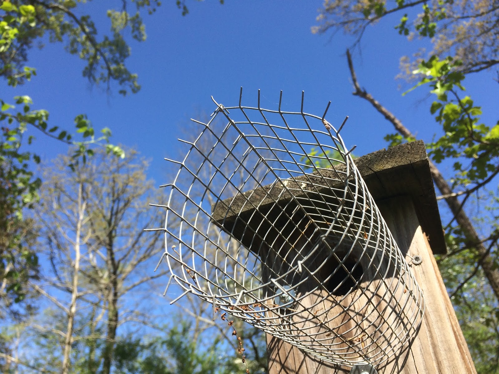 The Bear Trace at Harrison Bay Golf Course Maintenance: BT@HB Bluebird ...