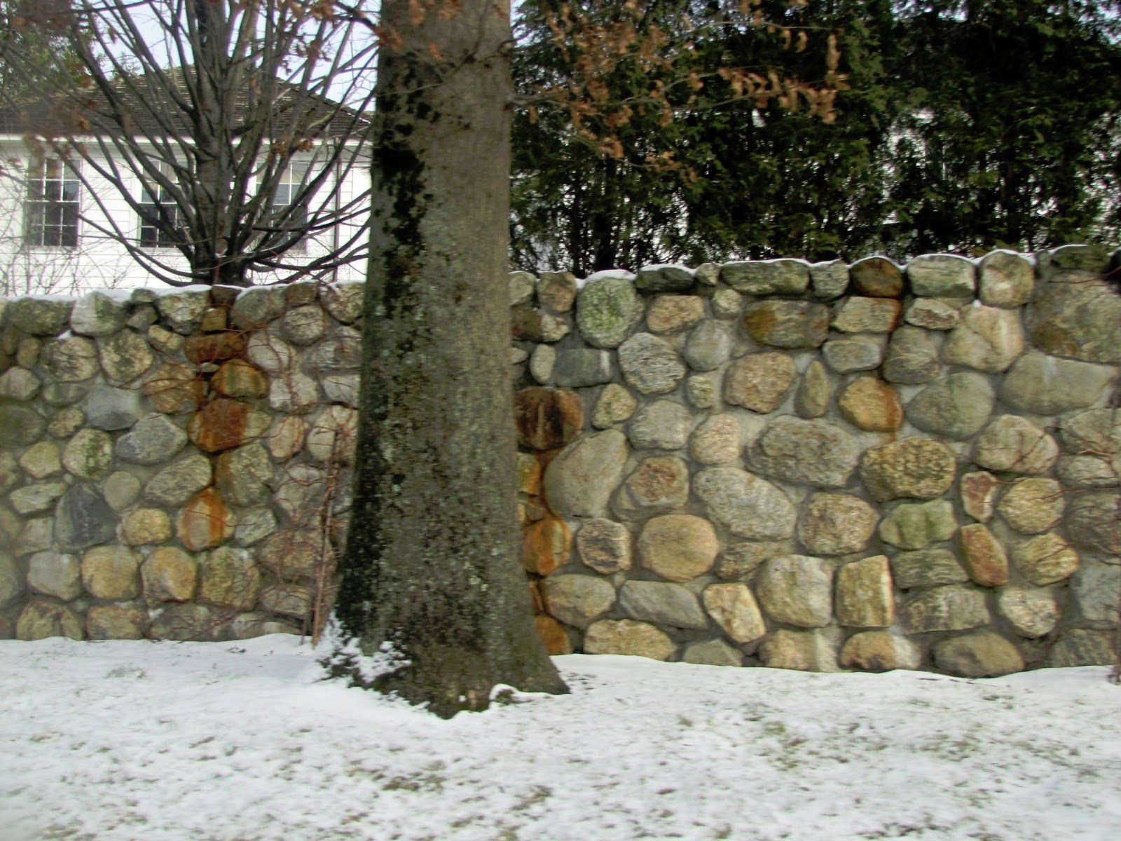 Living Life On Main Street: Stone Fences
