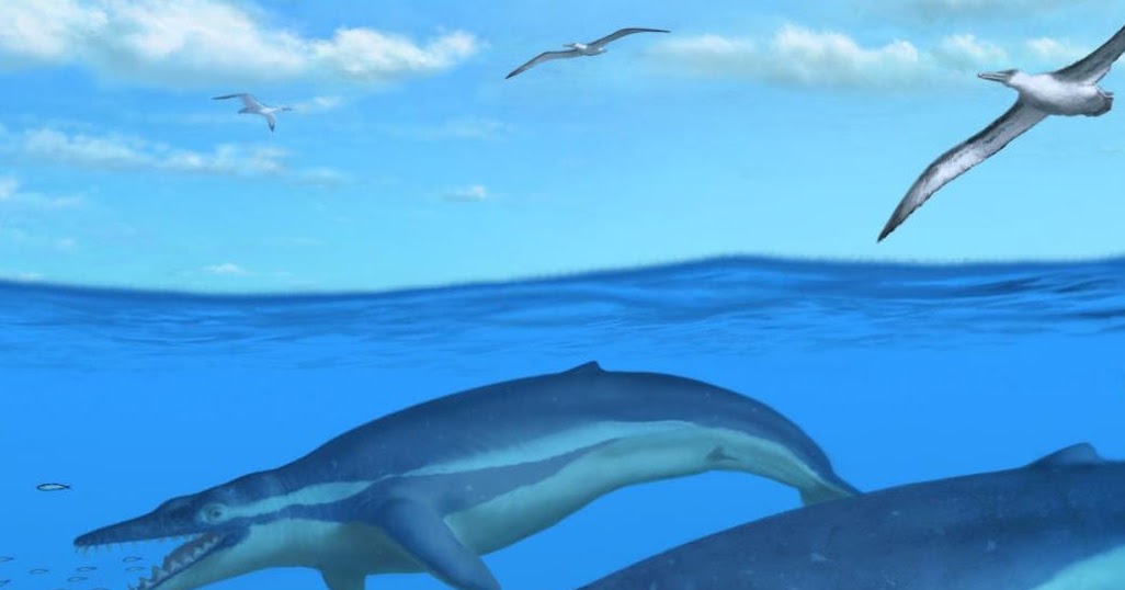 Species New to Science: [PaleoMammalogy • 2017] Coronodon havensteini ...