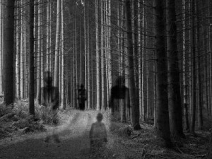 Paradox: SHADOW PEOPLE