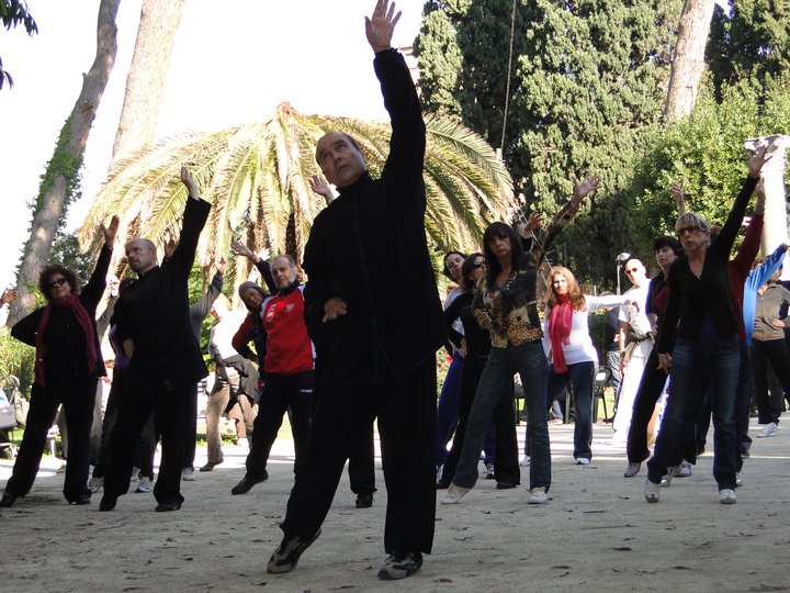 CORSI DI TAI CHI CHUAN E QI GONG A ROMA: CORSI DI TAIJI QUAN E QI GONG ...
