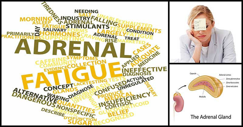 Hypoadrenia (Adrenal Fatigue): Causes, Symptoms, and Natural Remedies ...