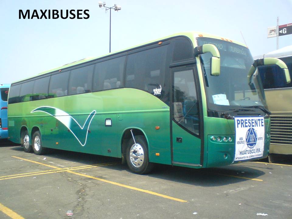 MAXIBUSES: AUTOBUSES TURÍSTICOS LÍNEA DE ORO (TURISMO)