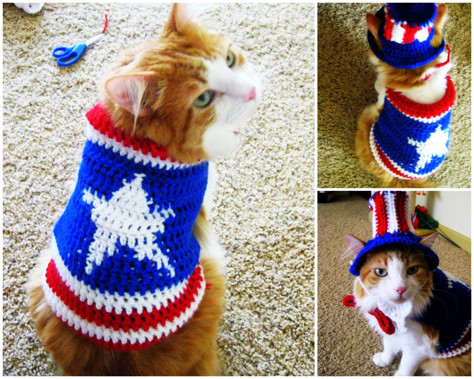 Live. Love. Laugh.: Uncle Sam Cat Outfit!