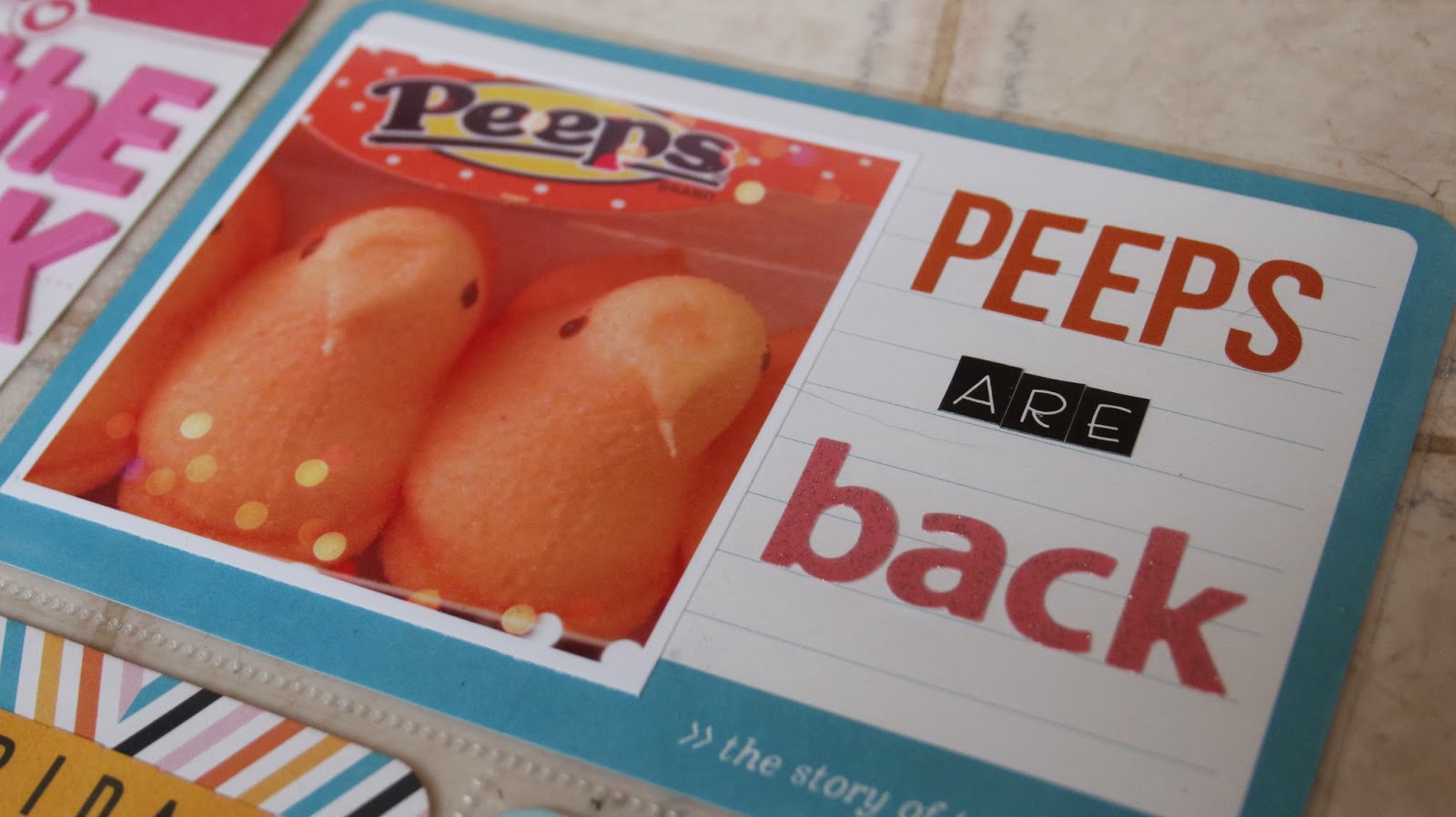 everyday life by dani