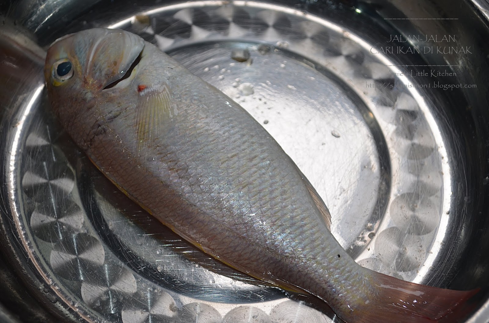 Jalan-Jalan Cari Ikan di Kunak - Amie's Little Kitchen