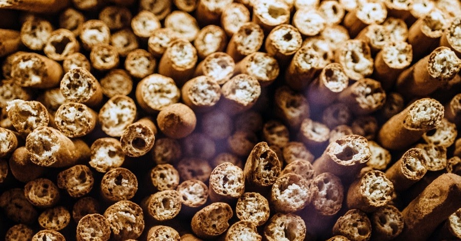 What is Trypophobia? Get Rid Of Trypophobia Skin - Online Counselling ...