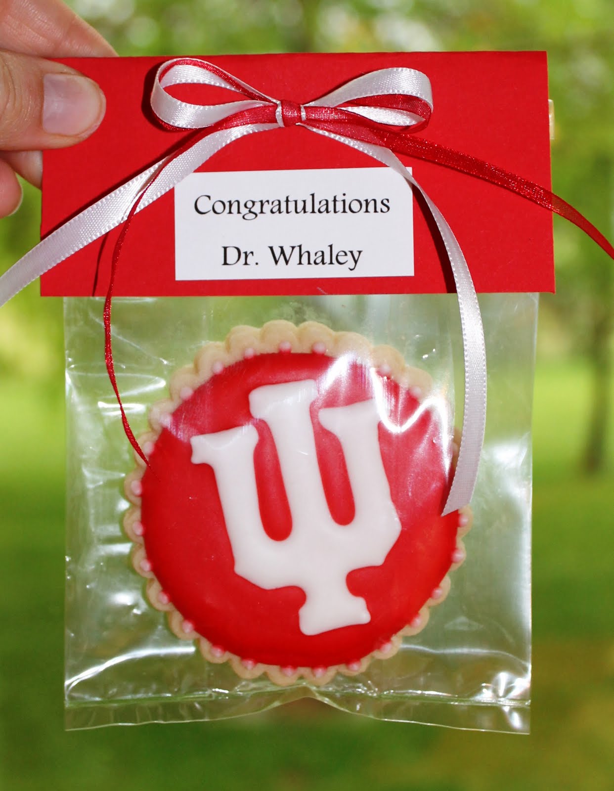 The Growing Gray Family: Wordless Wednesday - IU Cookies