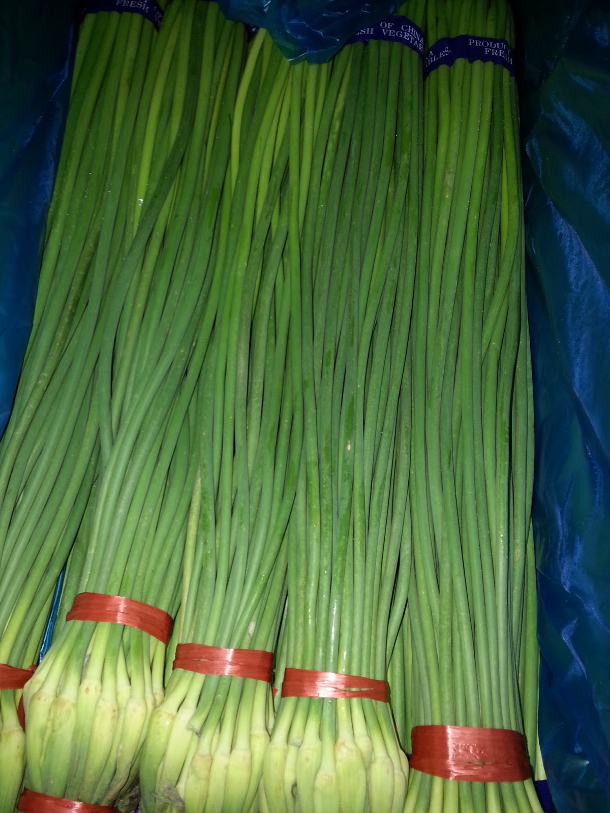 ABLE TRADE: 마늘쫑(Stem of garlic)