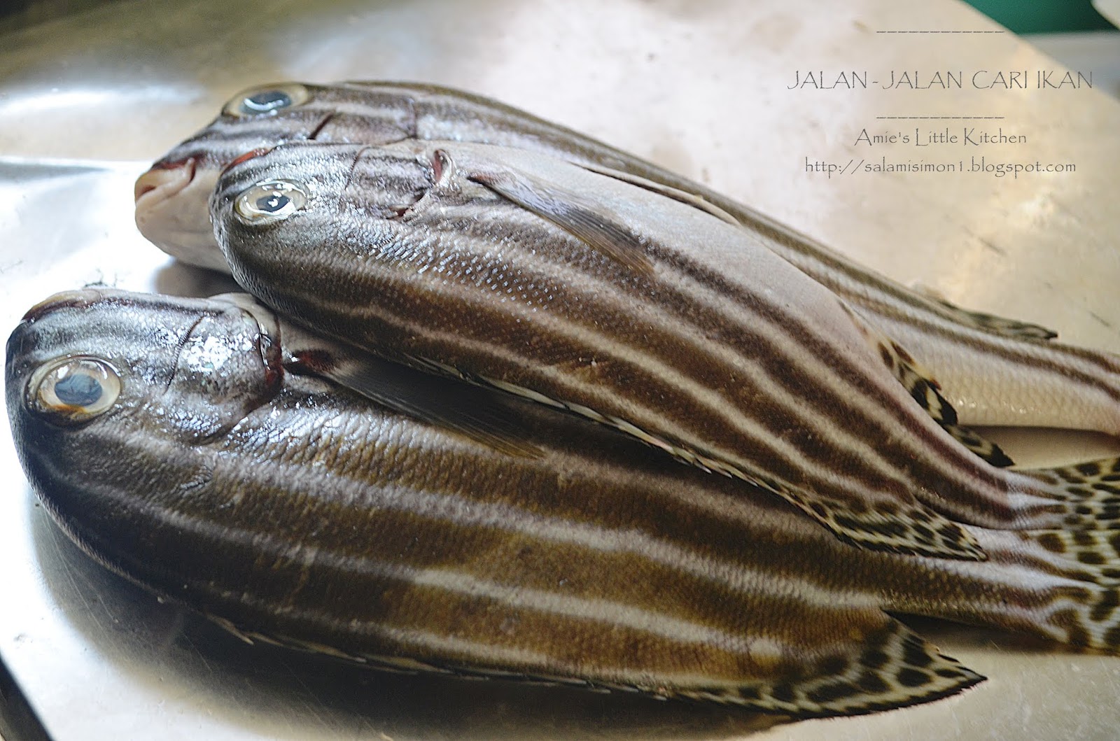 Di Mana Ada Air, Di Situ Ada Ikan. - Amie's Little Kitchen