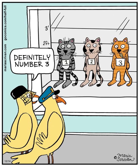 Mystery Fanfare: Cartoon of the Day: Cat Line-Up