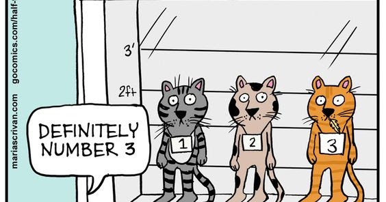 Mystery Fanfare: Cartoon of the Day: Cat Line-Up