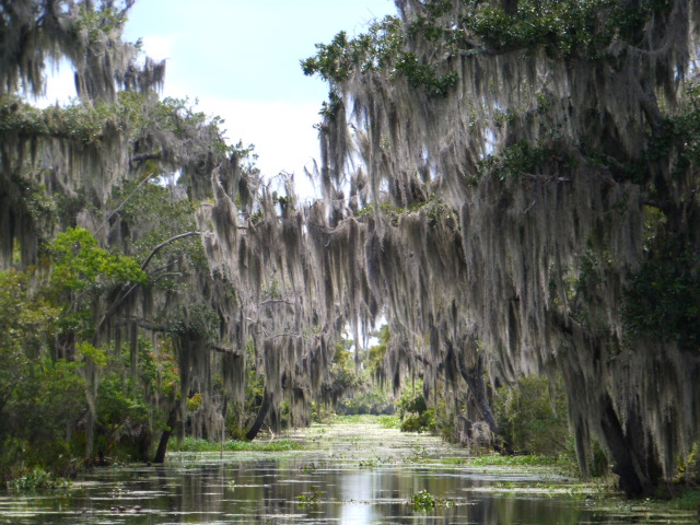 Tracey Friley's OneBrownGirl.com® - Culture. Diversity. Humanity ...