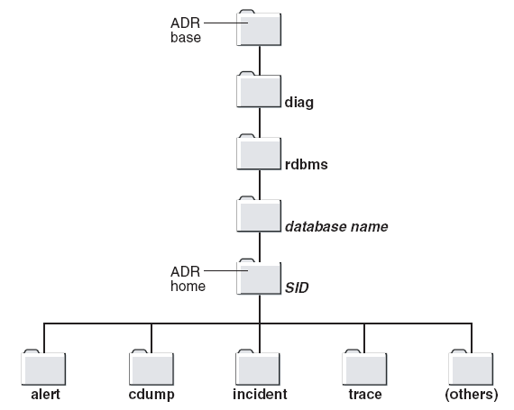Murali Oracle Dba