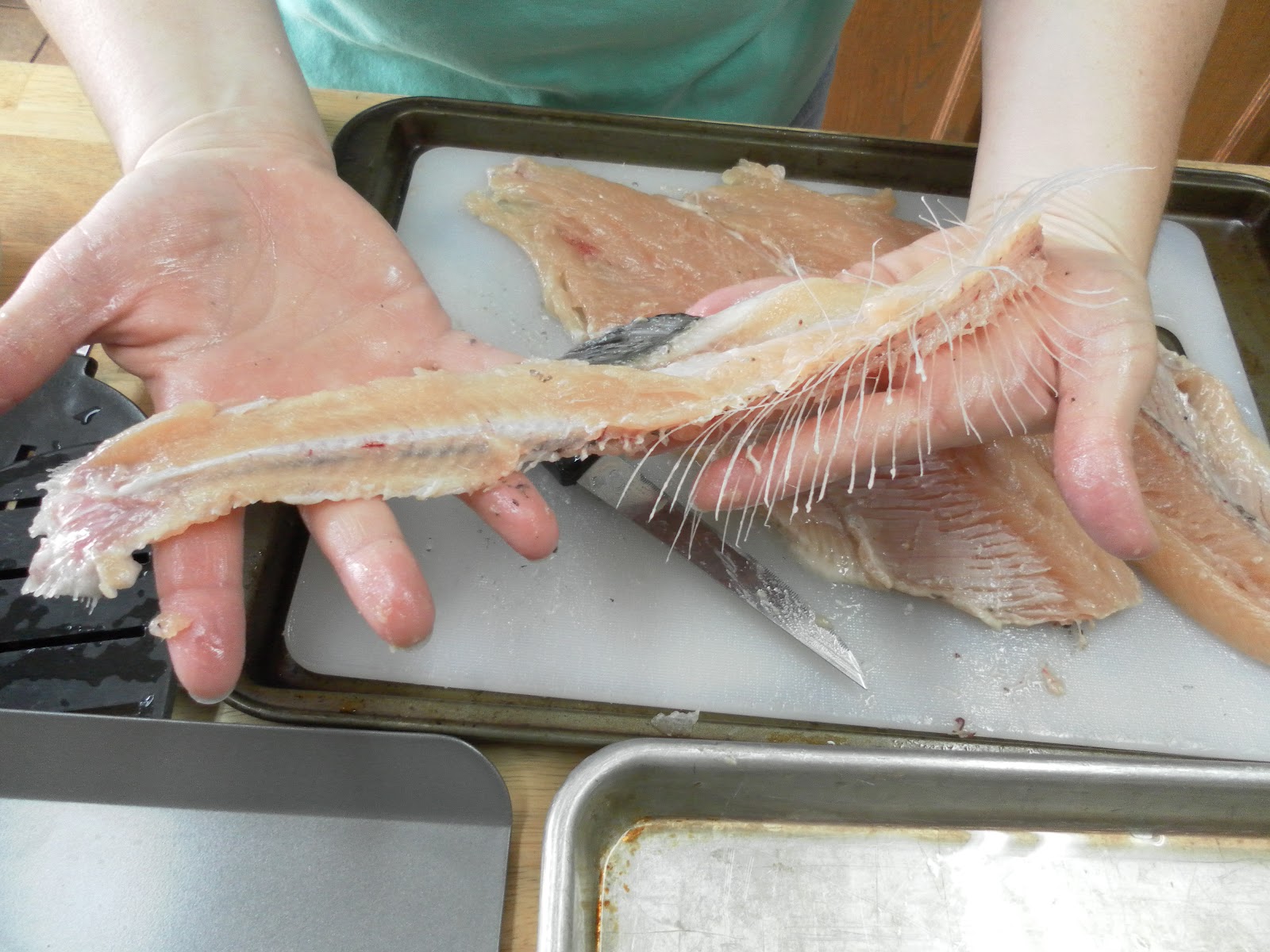 Nine for Dinner: How to Fillet a Fish