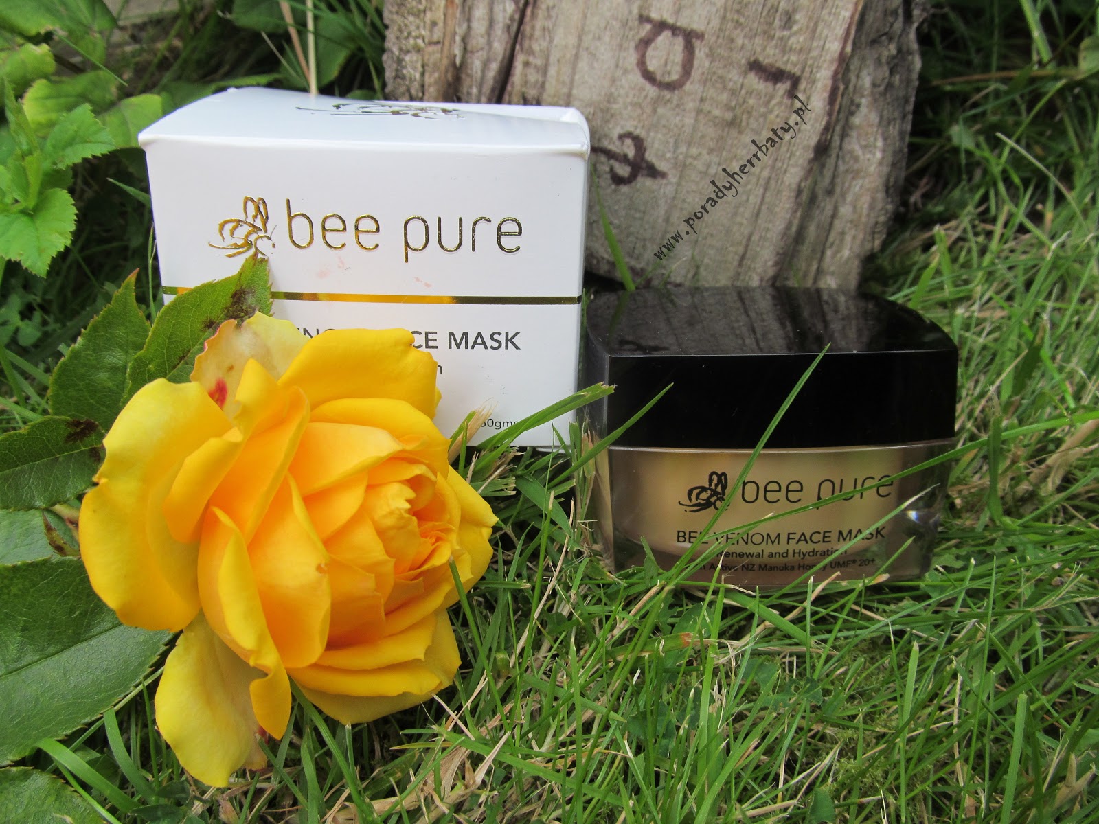 Porady Herrbaty : Jadowita pielęgnacja twarzy - BEE PURE BEE VENOM FACE ...