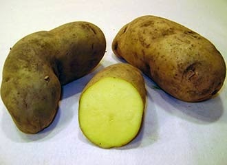 Peru: el país de las 3,000 papas | Viajes del Perú - Travel Blog sobre ...