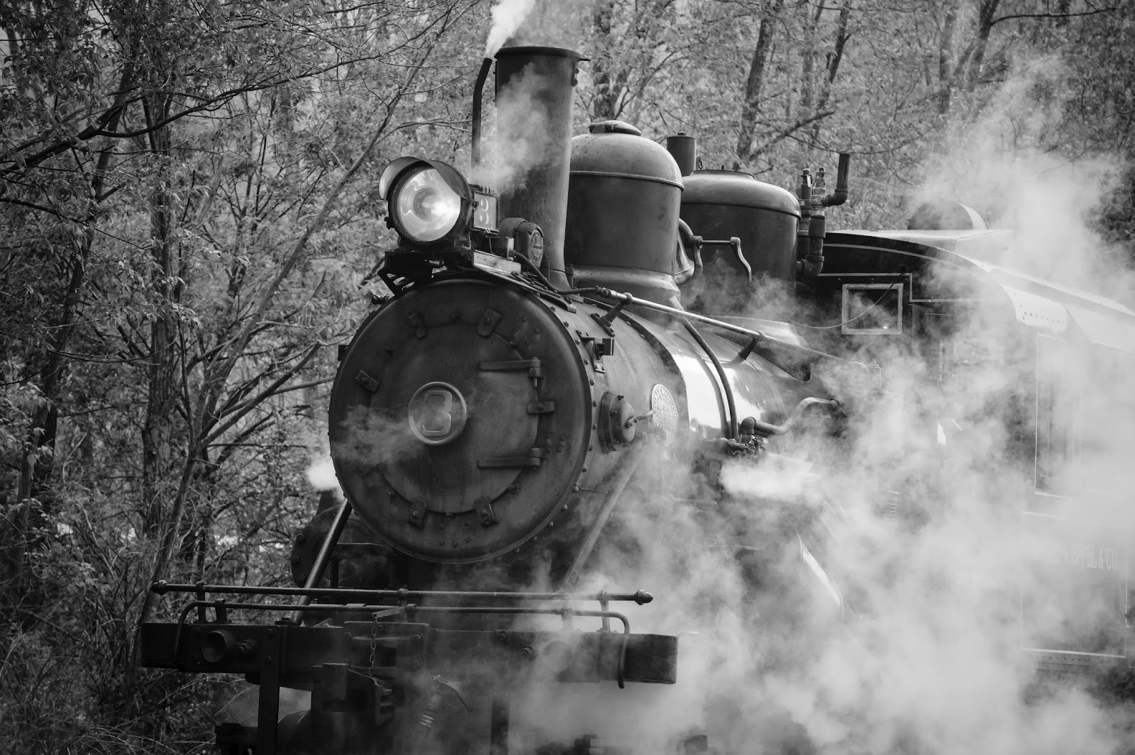 Bubba's Garage: Cass Railfan Weekend - Photos of the Durbin Rocket