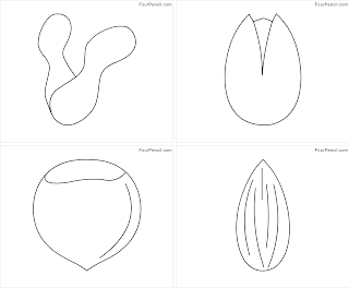 Four Coloring: Free printable Nut coloring pages for kids