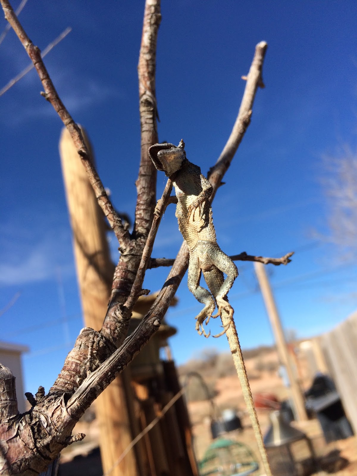 2.bp.blogspot.com on reddit.com