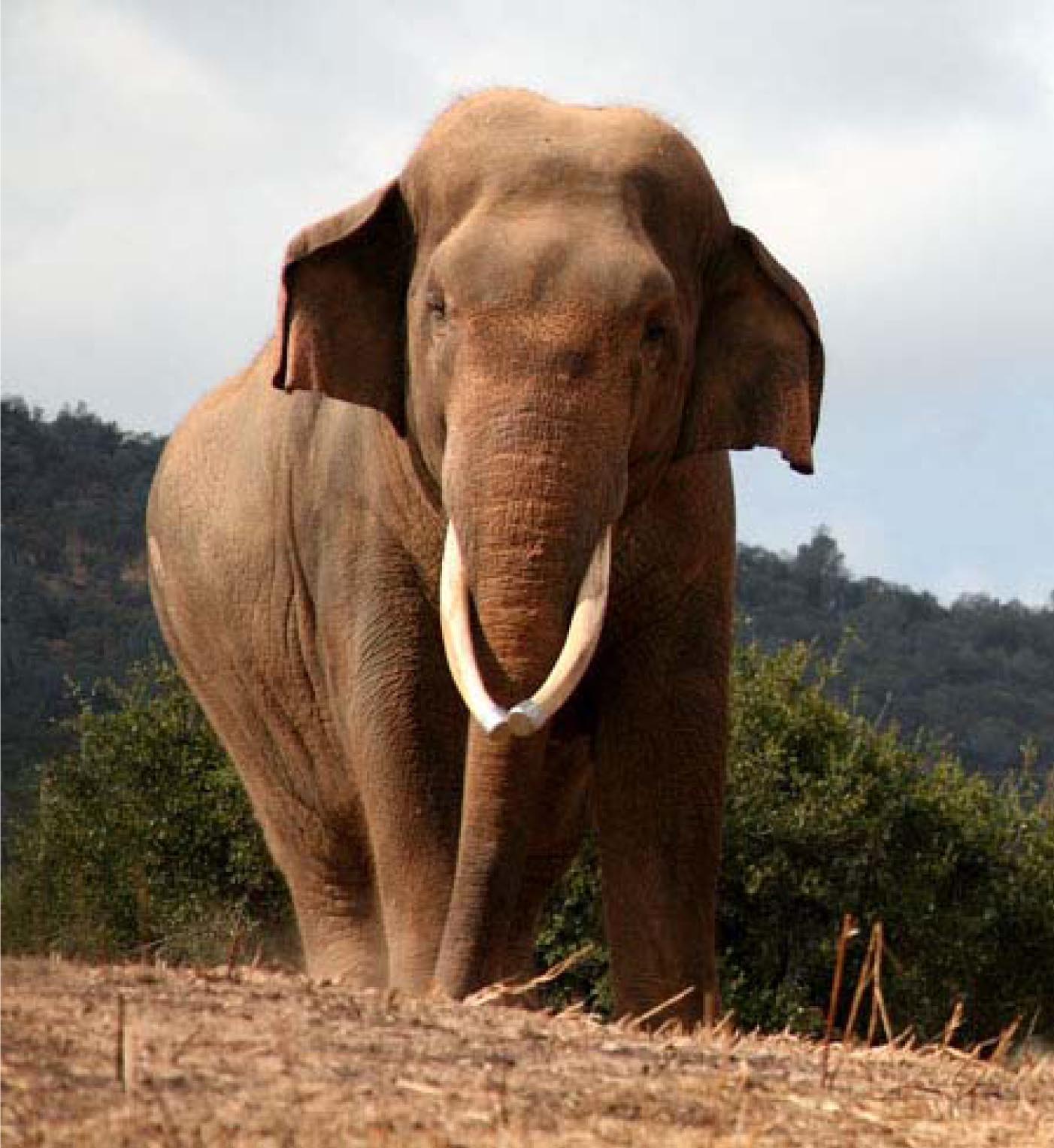 M. Raeder - Photography: PAWS