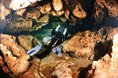 States of Immersion - A Florida Cave Diving Adventure: Ginnie Springs ...