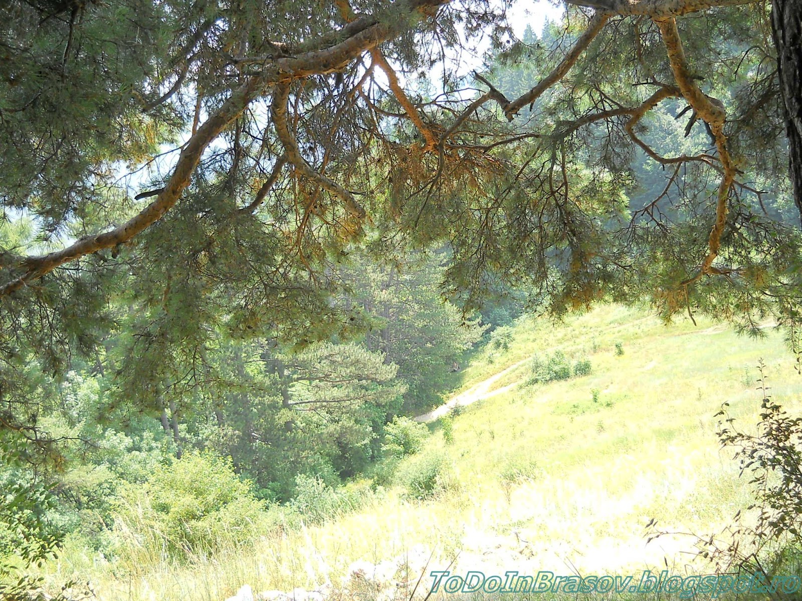 To Do In Brasov - Afla tot ce poti sa faci in cel mai frumos oras din ...