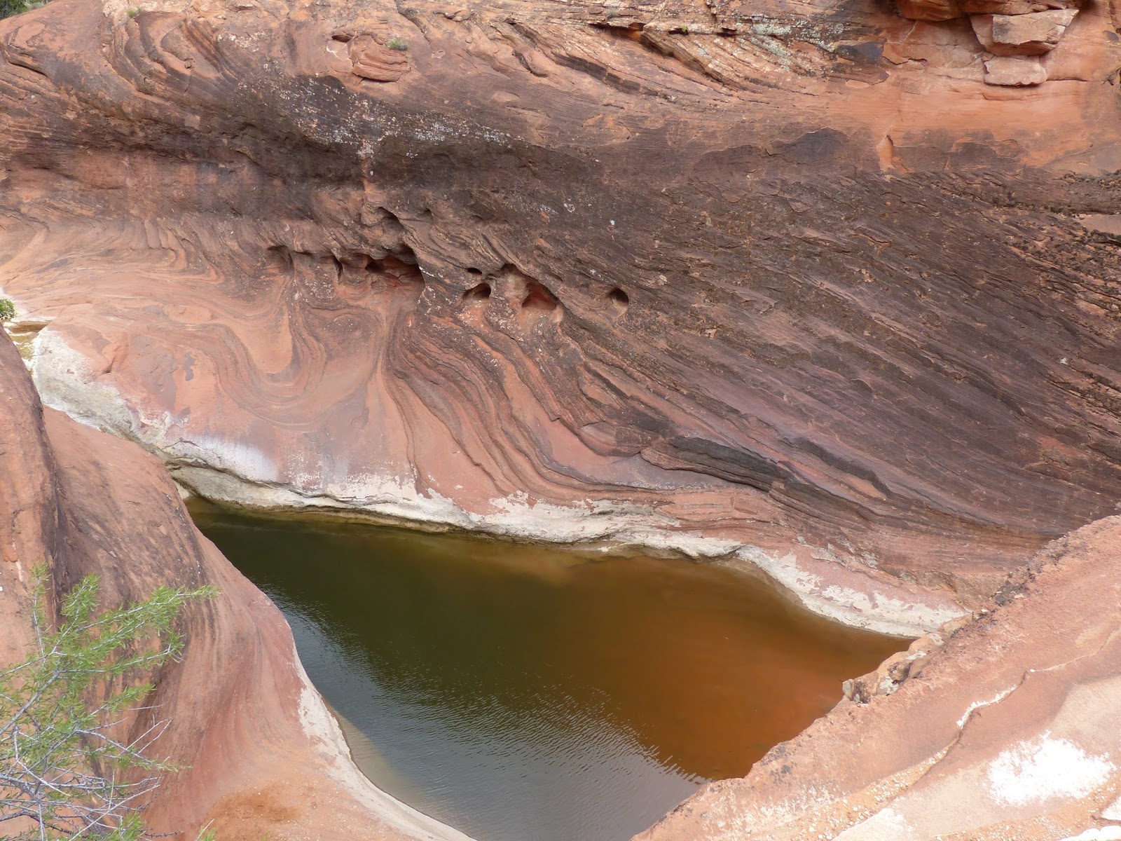 Land Cruising Adventure: Red Cliffs Natural Conservation Area, Utah