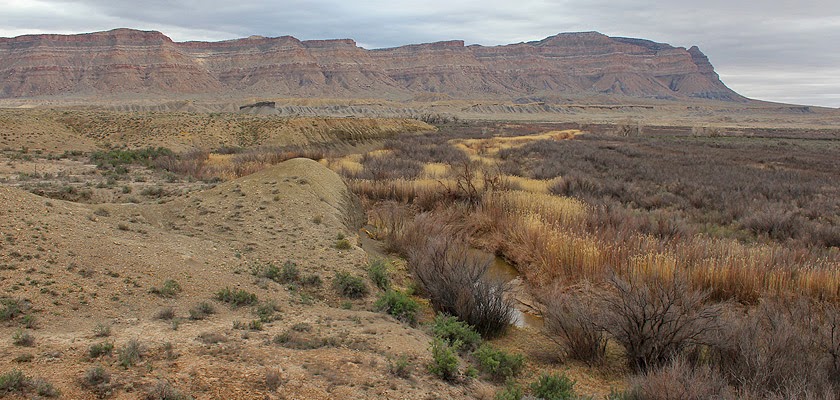 Utah Birding Spots: Price River -- Woodside Lower Price River Road